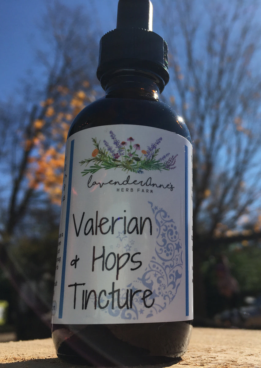 Valerian & Hops Tincture – Lavender Anne's